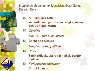 Pengenalan Genus-Genus Karang | PPT