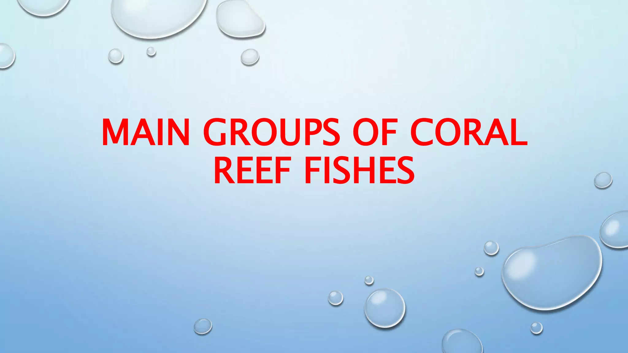 Coral reef main groups of fishes | PPTX