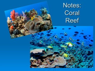Corals and coral reefs powerpoint presentation | PPT