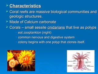 Corals and coral reefs powerpoint presentation | PPT
