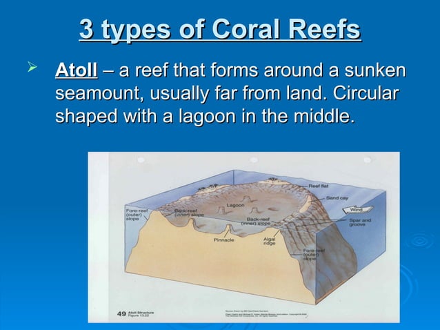 Corals and coral reefs powerpoint presentation | PPT | Geography | Science