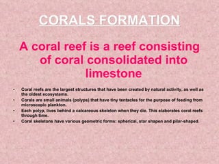 Coral reef presentation | PPT