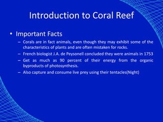 Coral reef presentation | PPTX