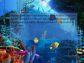 Coral reef presentation | PPTX