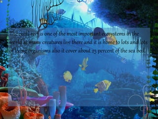 Coral reef presentation | PPT