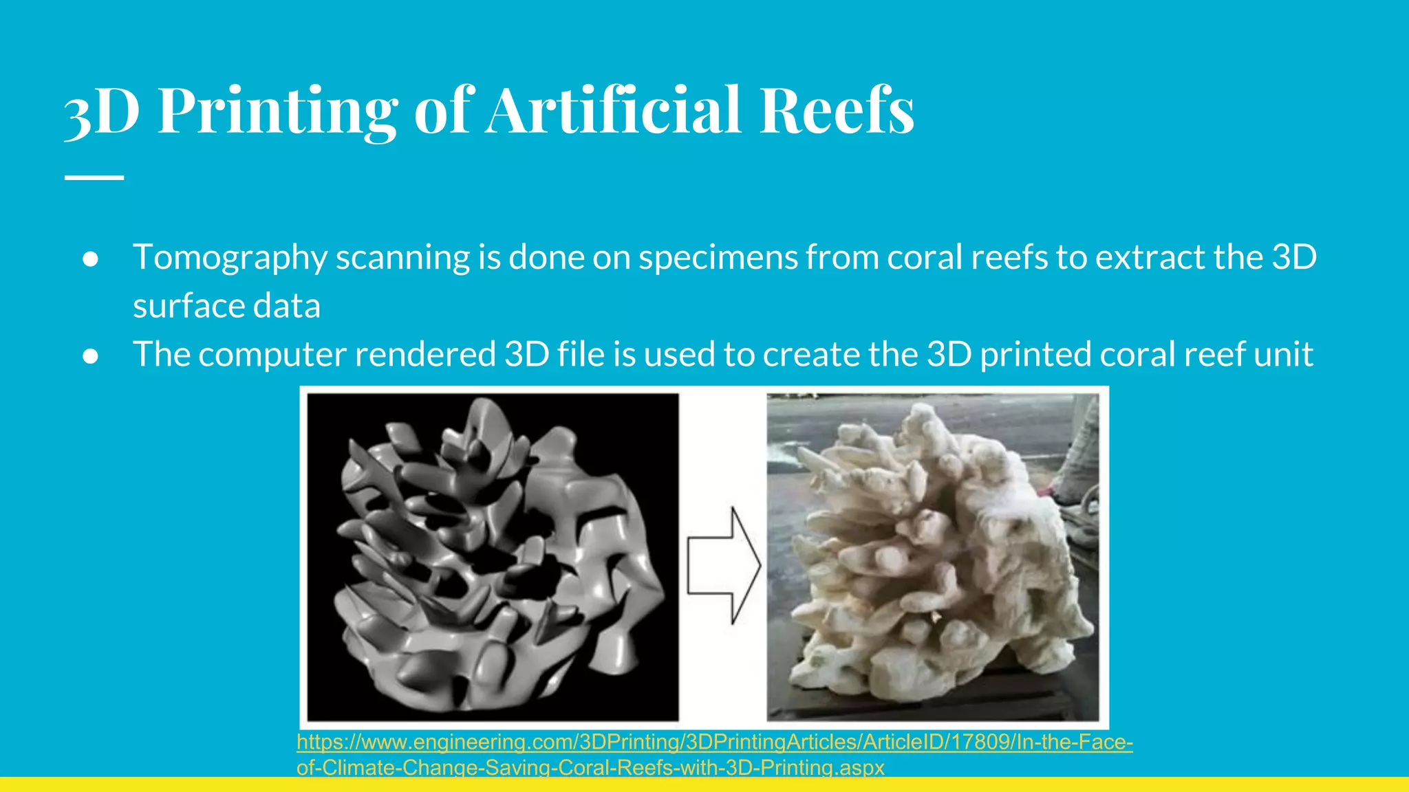 Coral reef presentation | PPTX