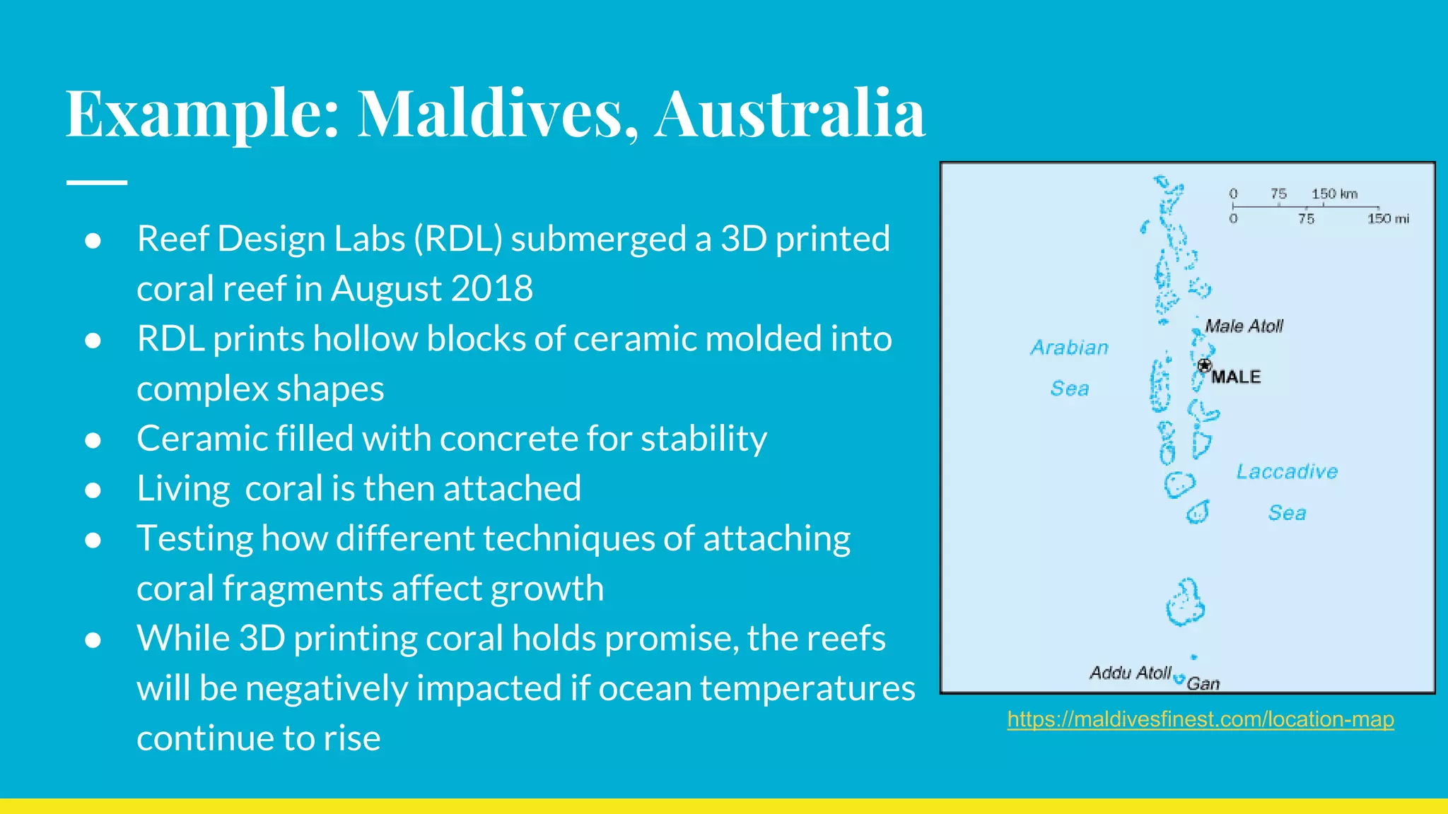 Coral reef presentation | PPTX