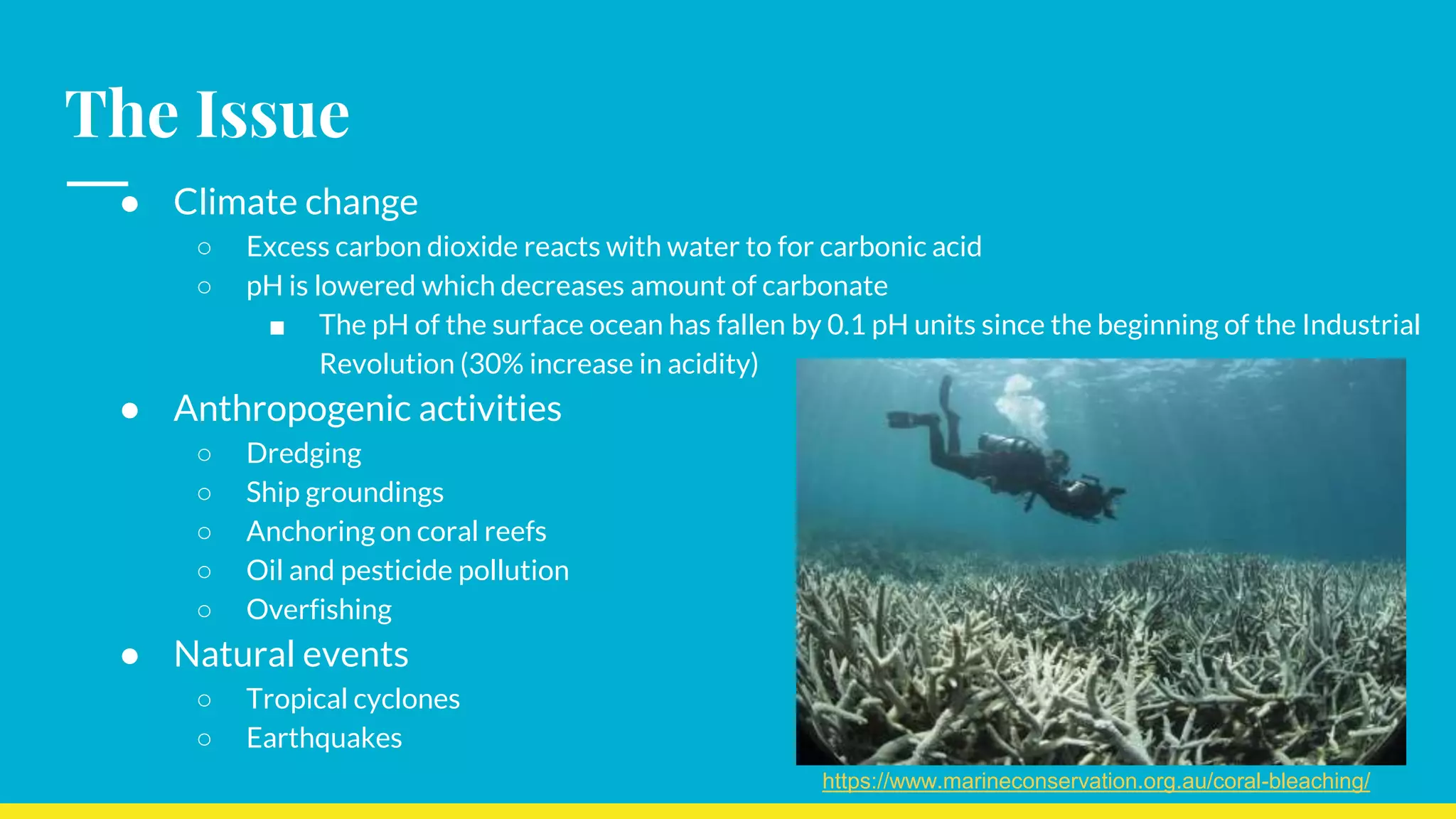 Coral reef presentation | PPTX