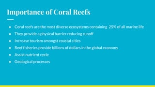 Coral reef presentation | PPT
