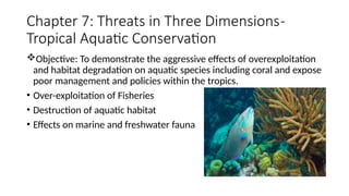 Tropical Coral Reef Education and Conservation | PPTX