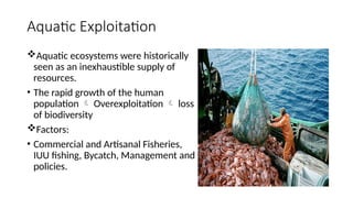 Tropical Coral Reef Education and Conservation | PPTX