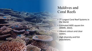 Coral Reef Restoration Project at Rasfari Marine Protected Area (MPA ...