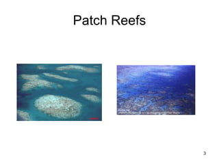 Coral Reefs | PPT
