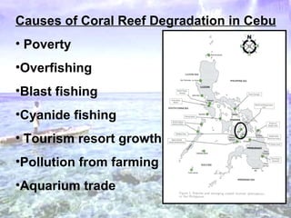 Coral Reefs and Sustainable Management | PPT