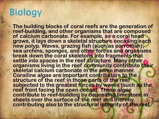 Coral reefs | PPT | Zoos & Aquariums | Attractions