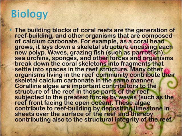 Coral reefs | PPT | Zoos & Aquariums | Attractions