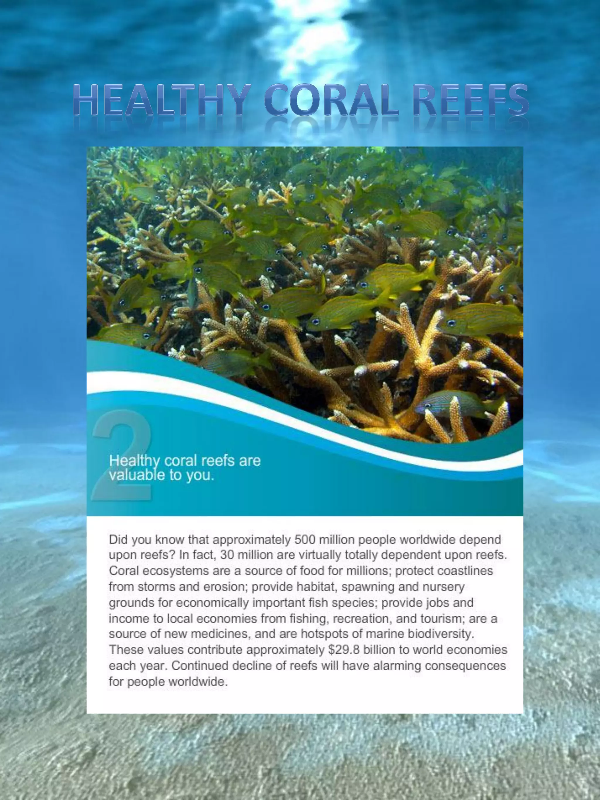 Coral reefs | PDF