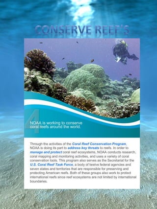 Coral reefs | PDF