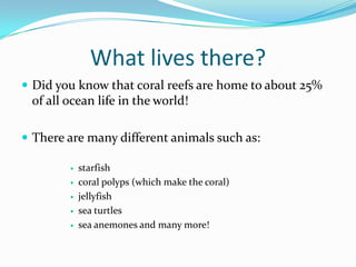 Coral reefs | PPT