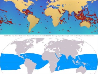 Coral Reefs | PDF