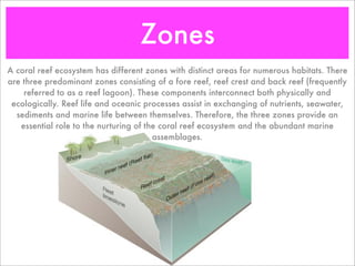 Coral Reefs | PDF