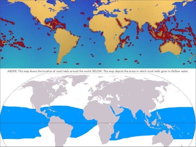 World Map Of Coral Reef - Map