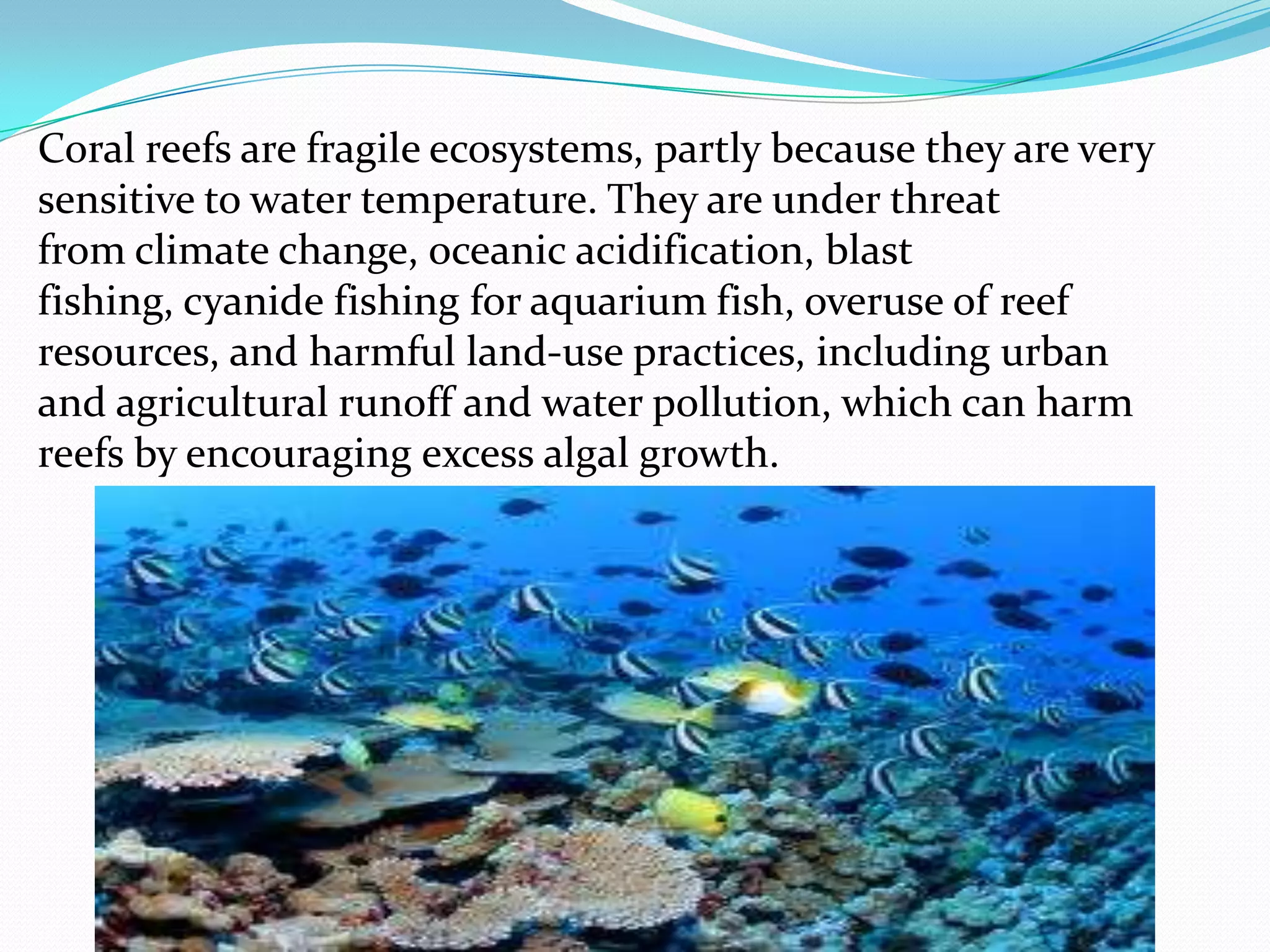 Coral reefs | PPT