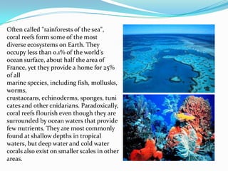 Coral reefs | PPT