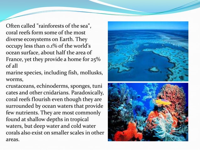 Coral reefs | PPT