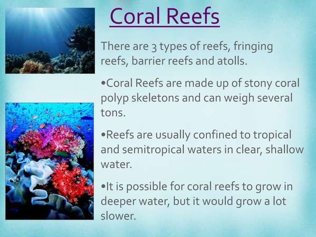 Coral Reefs | PPT