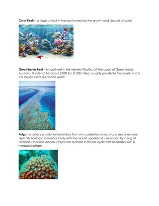 Coral reefs | DOCX