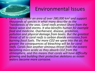 Coral reefs | PPTX