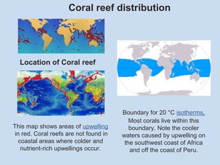Coral reefs | PPT