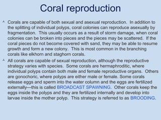 Coral reefs | PPT