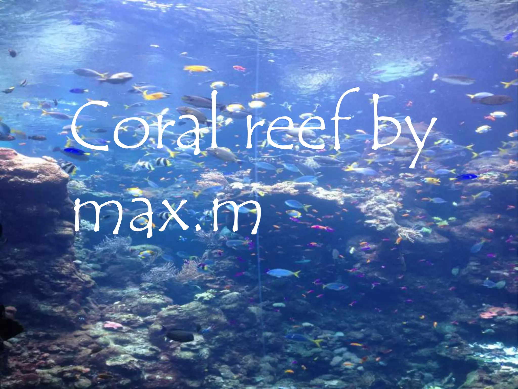 Coral reefs | PPTX