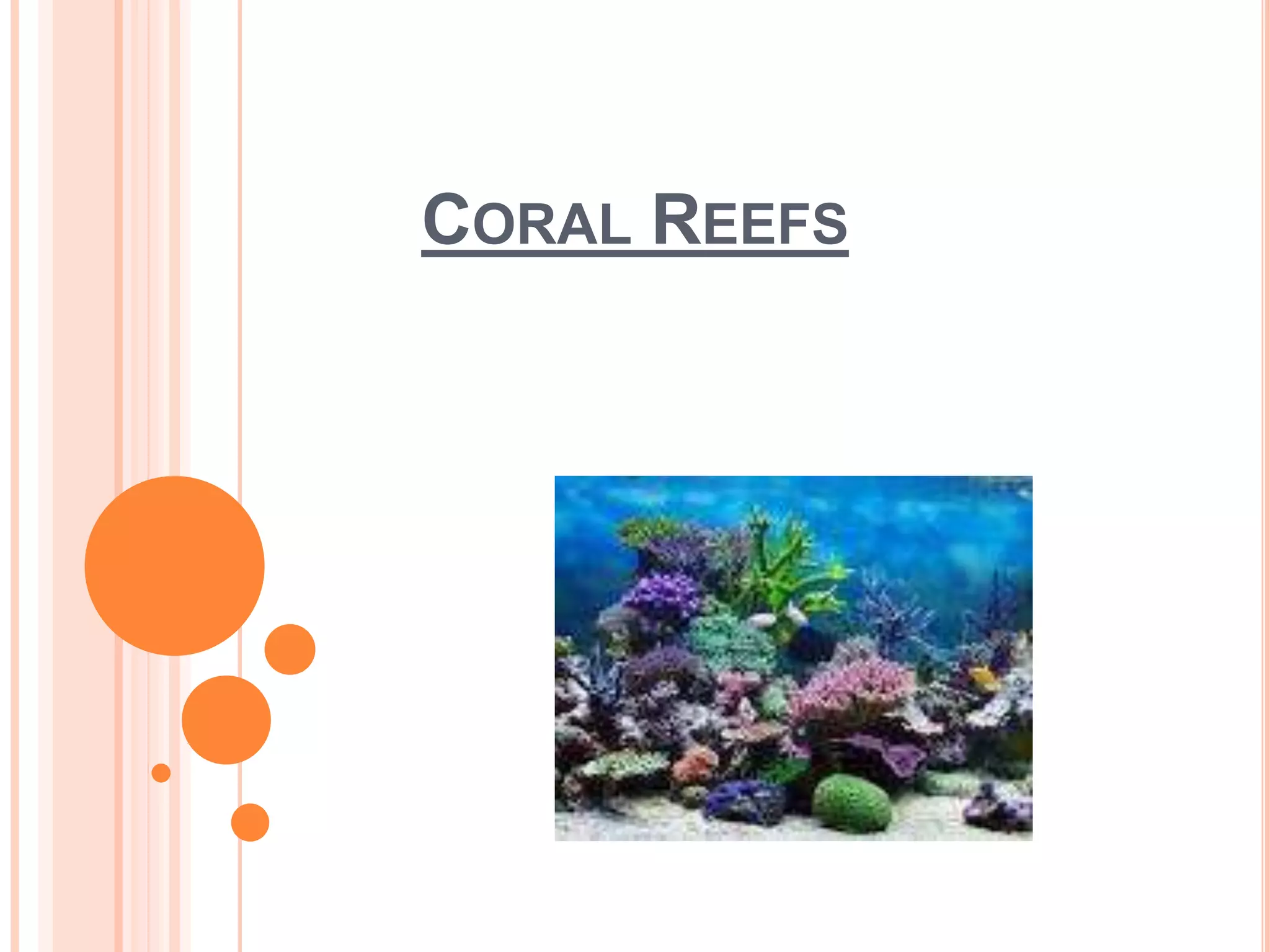 Coral reefs | PPT