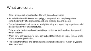 Coral reefs | PPTX | Geology | Science