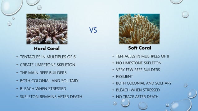 Coral reefs; an Introduction | PPT