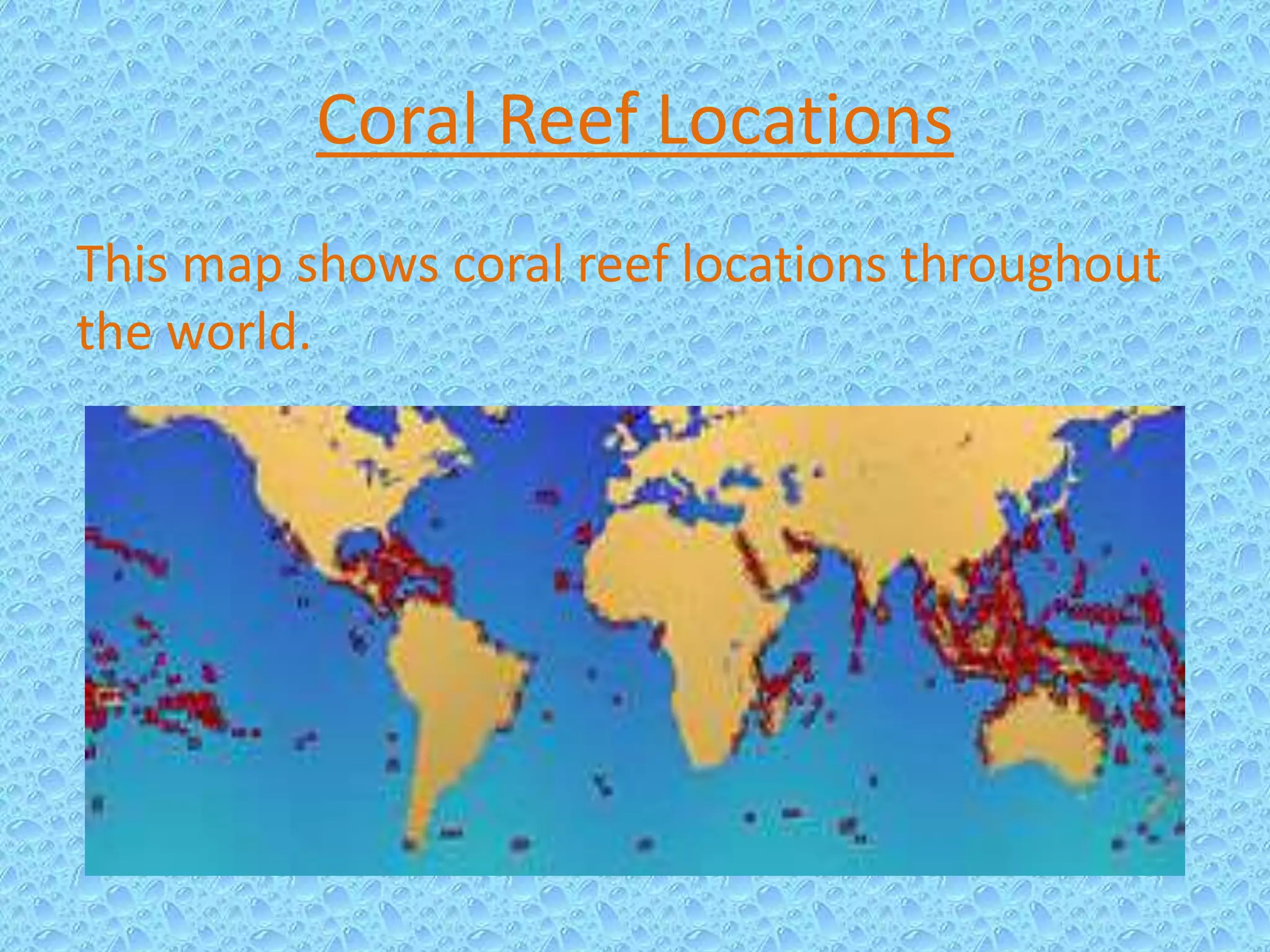 Coral reefs | PPTX