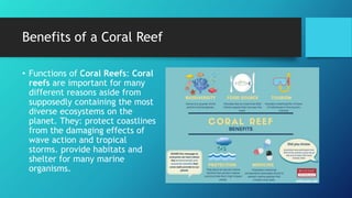 Coral reefs | PPT