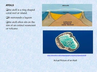 Coral reefs.ppt