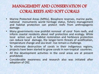 Coral reefs.ppt