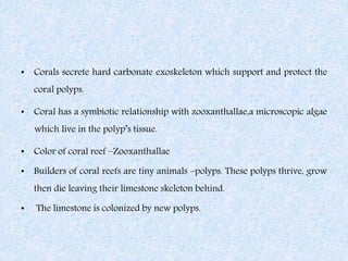 Coral reefs.ppt