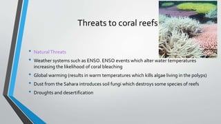 Coral Reefs lesson for csec geography in the caribbean | PPTX