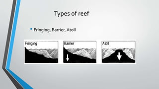 Coral Reefs lesson for csec geography in the caribbean | PPTX