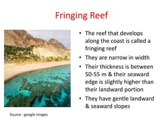 Coral reefs i (english)-converted | PDF | Geography | Science