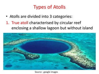 Coral reefs i (english)-converted | PDF | Geography | Science