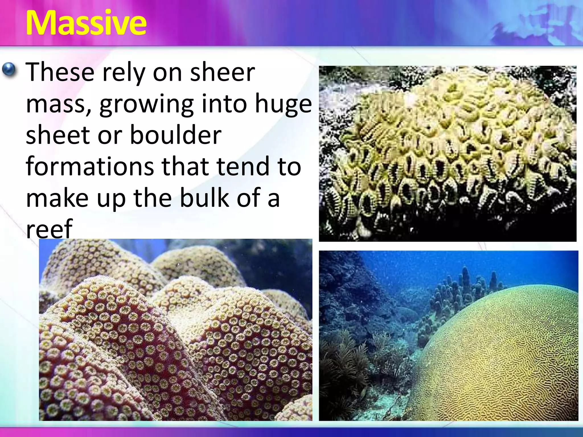 Coral reefs theory, types, formation | PPTX
