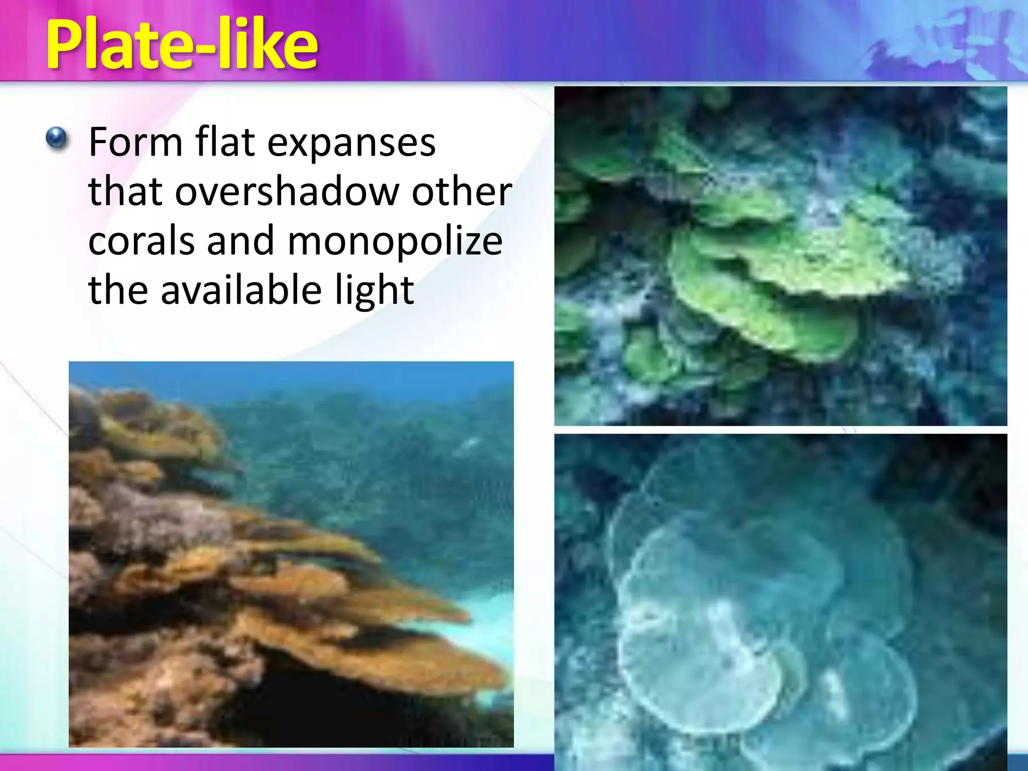 Coral reefs theory, types, formation | PPTX