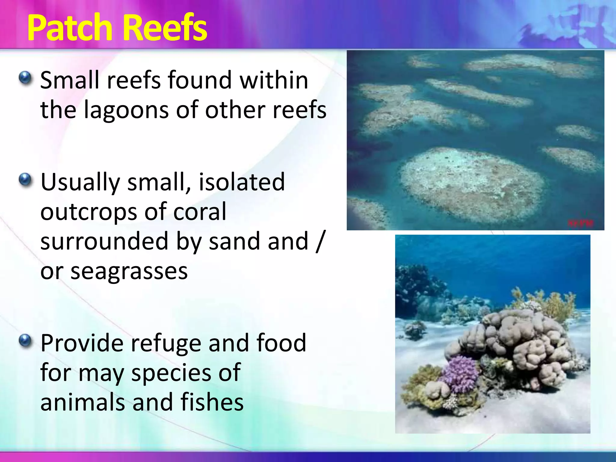 Coral reefs theory, types, formation | PPTX